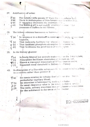 Lecture 10- Reprod System Drugs - LECTURE 10: Drugs acting on ...