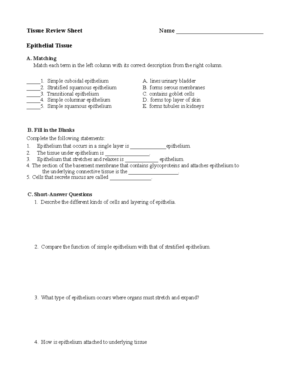 Tissue Review Sheet - tiossue - Tissue Review Sheet Name ...
