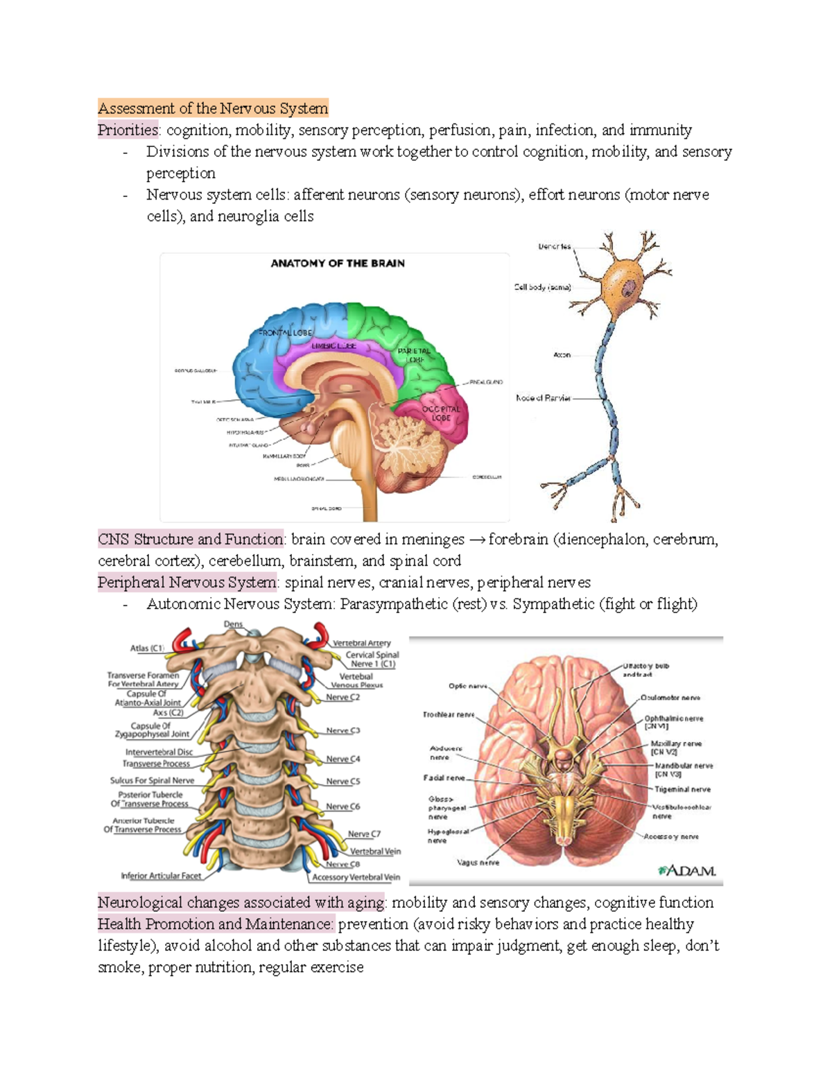 Neuro - This is a nursing lecture document for nursing. - Assessment of ...