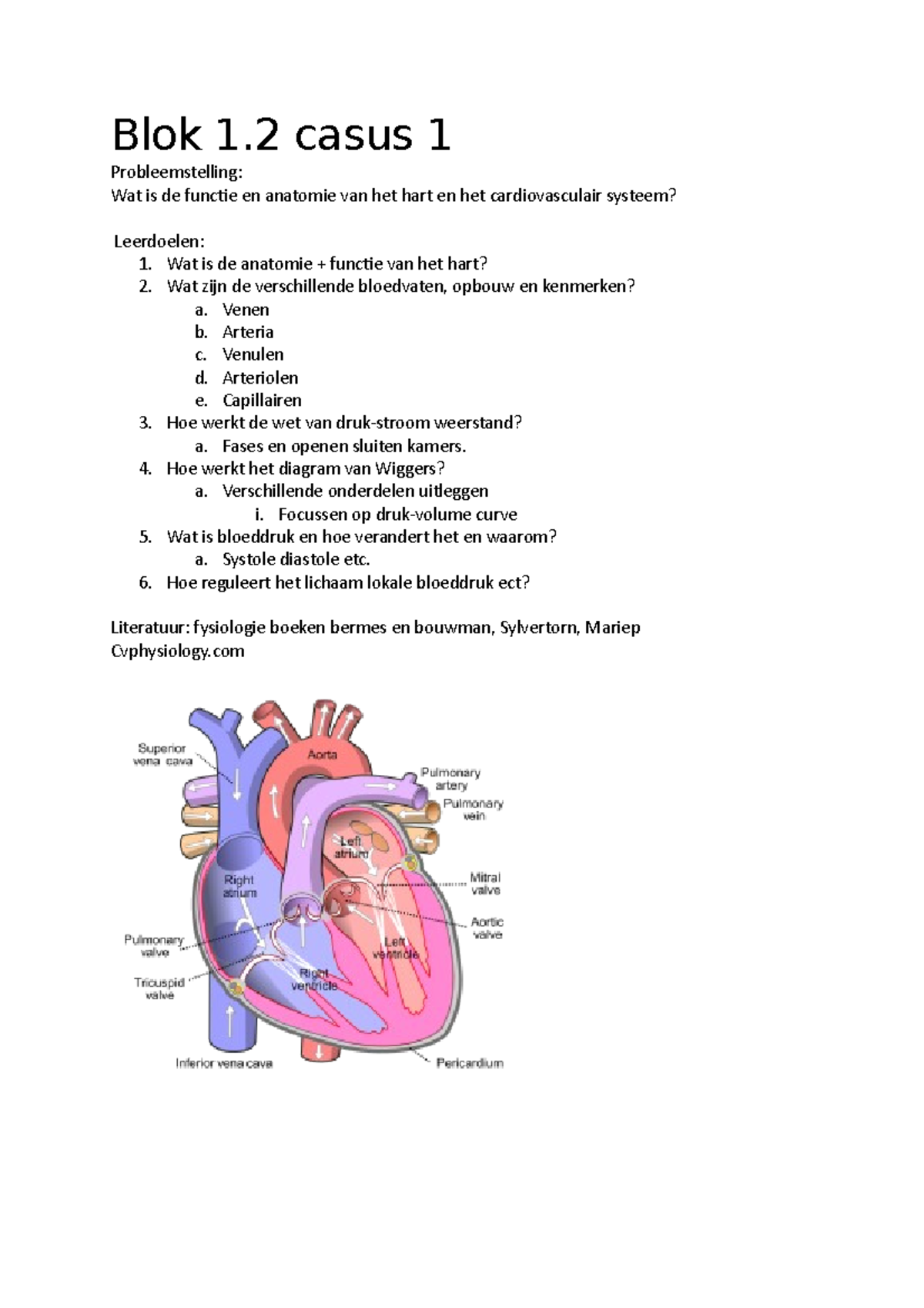 anatomie en functie hart - Blok 1 casus 1 Probleemstelling: Wat is de ...