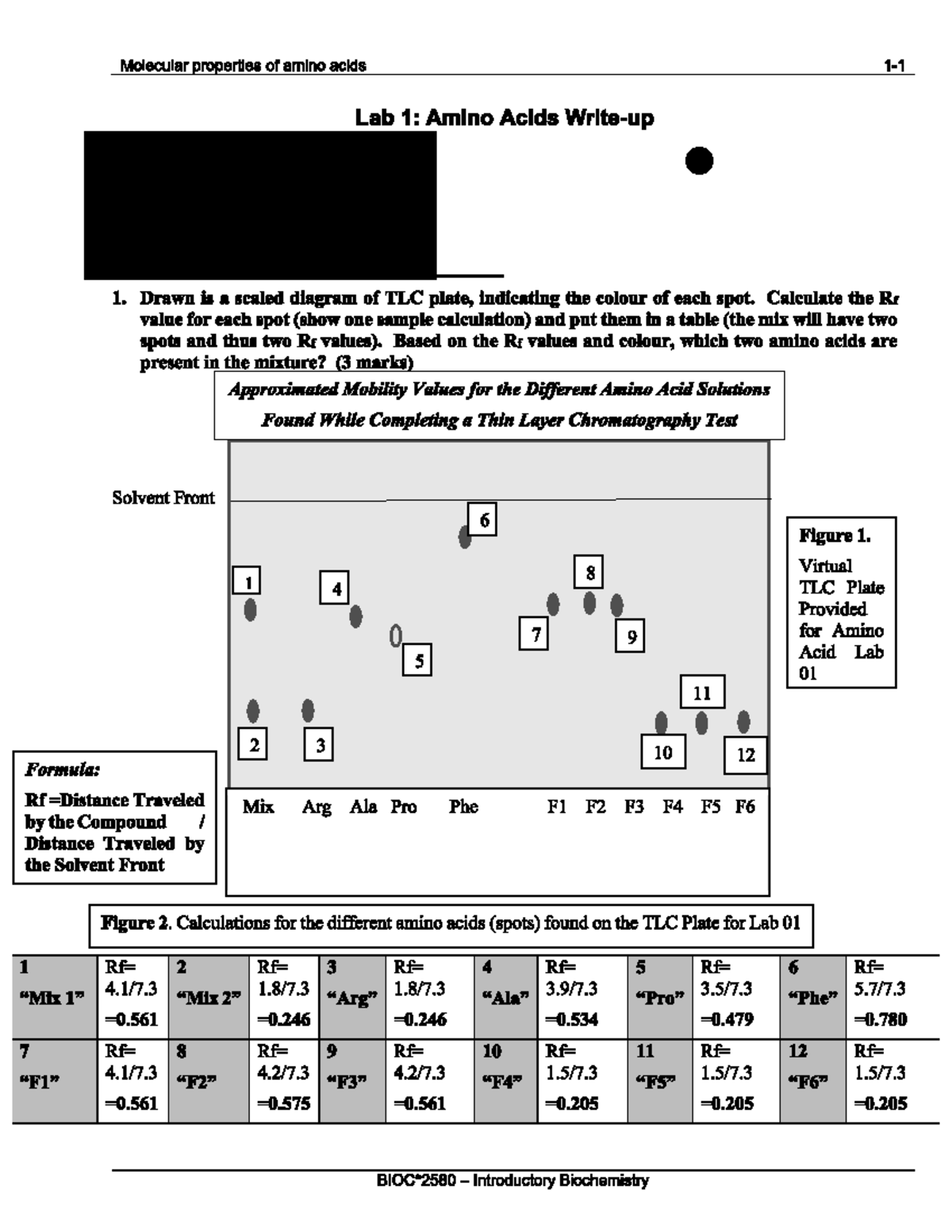 Lab 1 Amino Acid Write-up - BIOC 2580 - Studocu