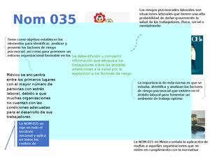 Metas- Internacionales-DE- Seguridad-DEL- Paciente - METAS ...