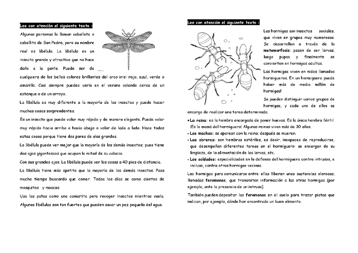Textos Secundaria - psicopedagogia - EL PUMA EL PUMA ES UN ANIMAL ...