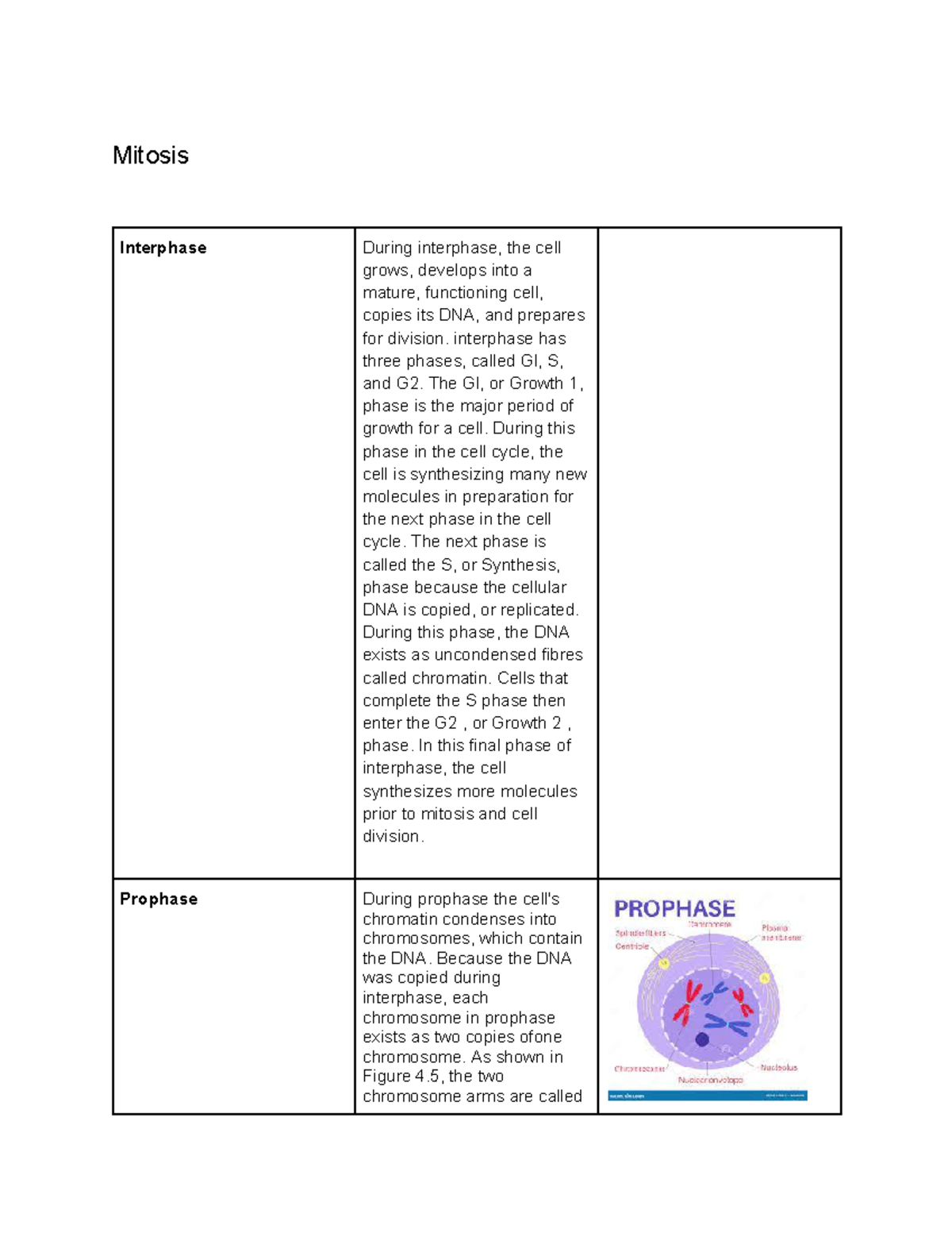 Biology Notes - Mitosis Interphase During interphase, the cell grows ...