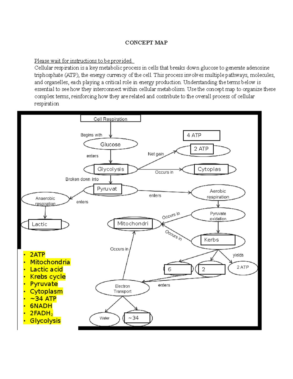 Concept map cellular respiration - Canvas Quiz - CONCEPT MAP Please ...