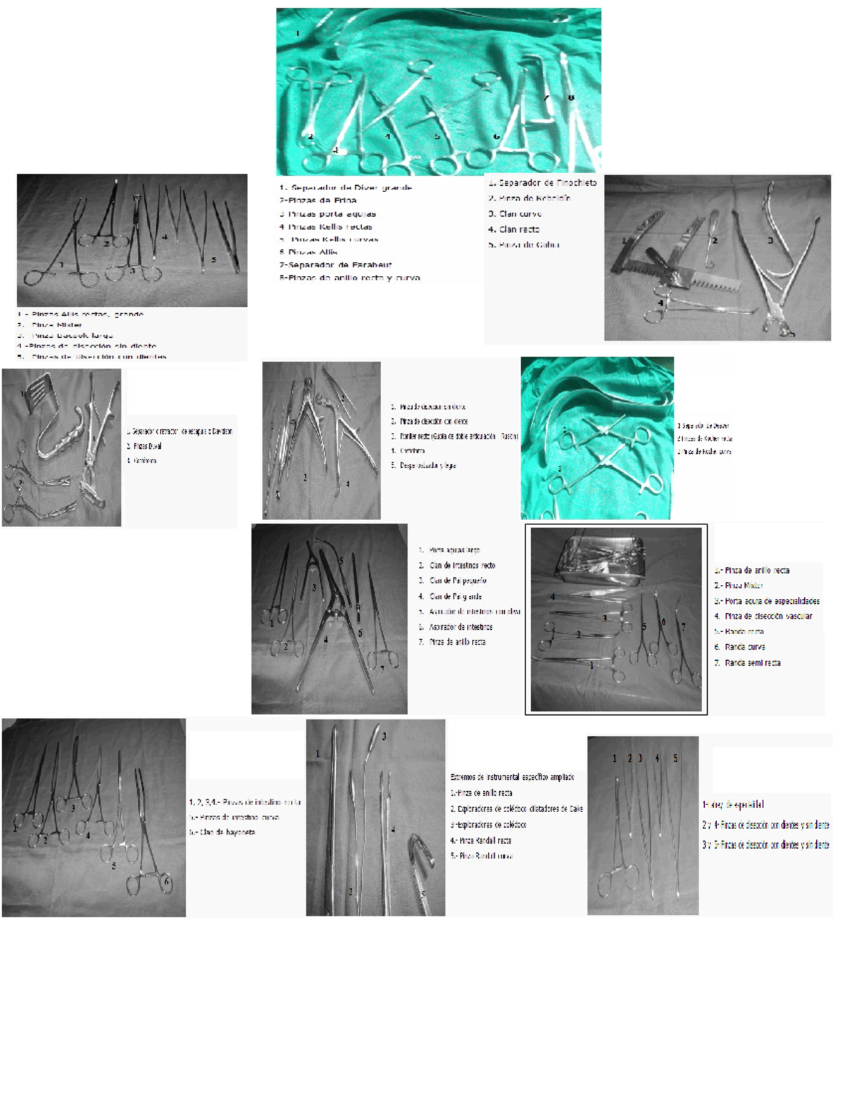 Instrumental indispensable en toda cirugía - Fundamentos de ...