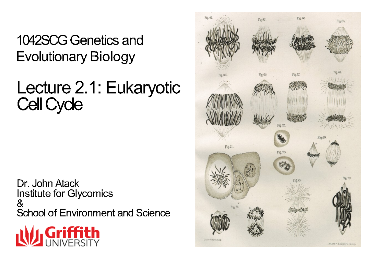 Lecture 2 1 Genetics 1042SCG Genetics And Evolutionary Biology lecture-2-1-genetics-1042scg-genetics-and-evolutionary-biology