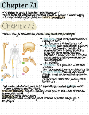 Chapter 8 Joints of the Skeletal System - Joints , also ...