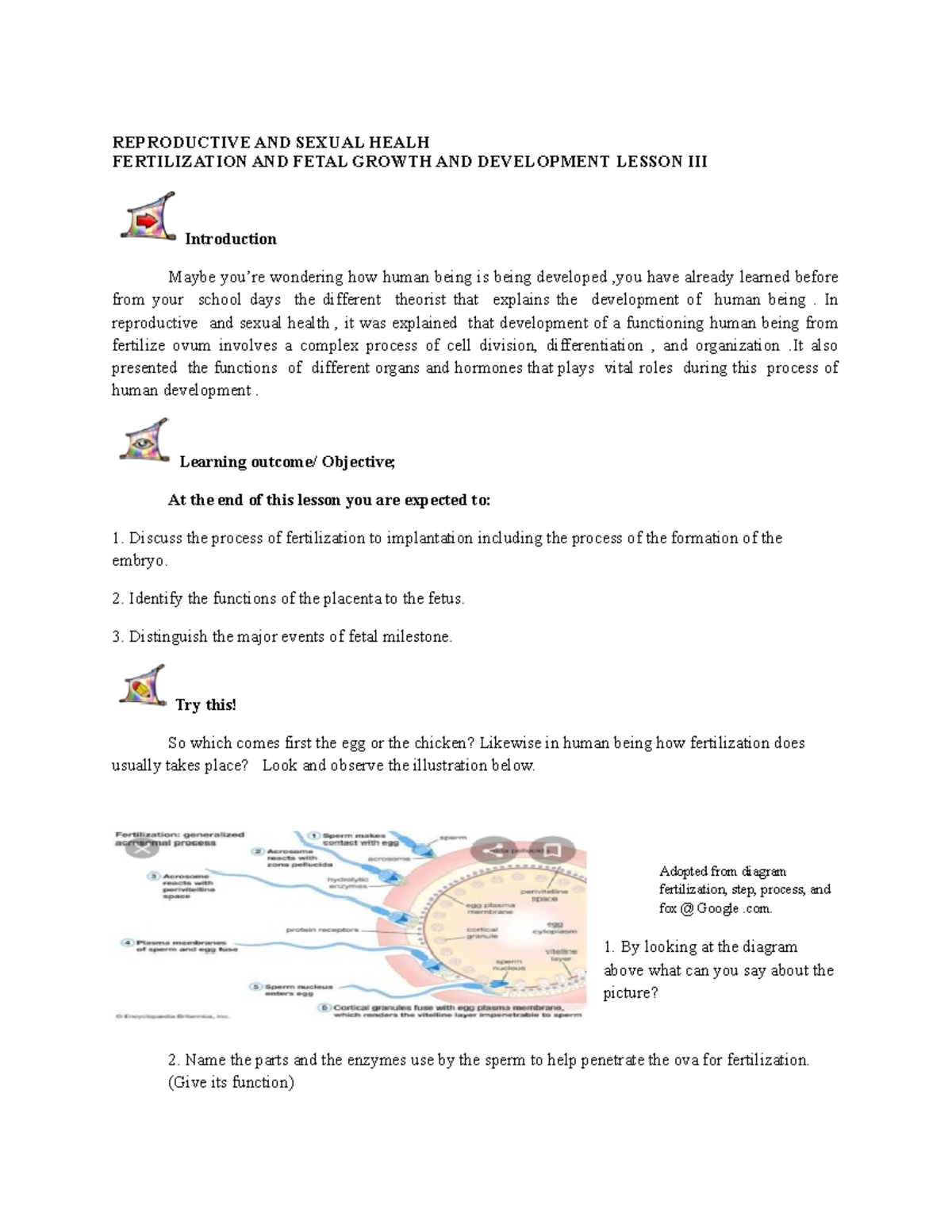 Reproductive AND Sexual Healhfertilization AND Fetal Growth AND ...
