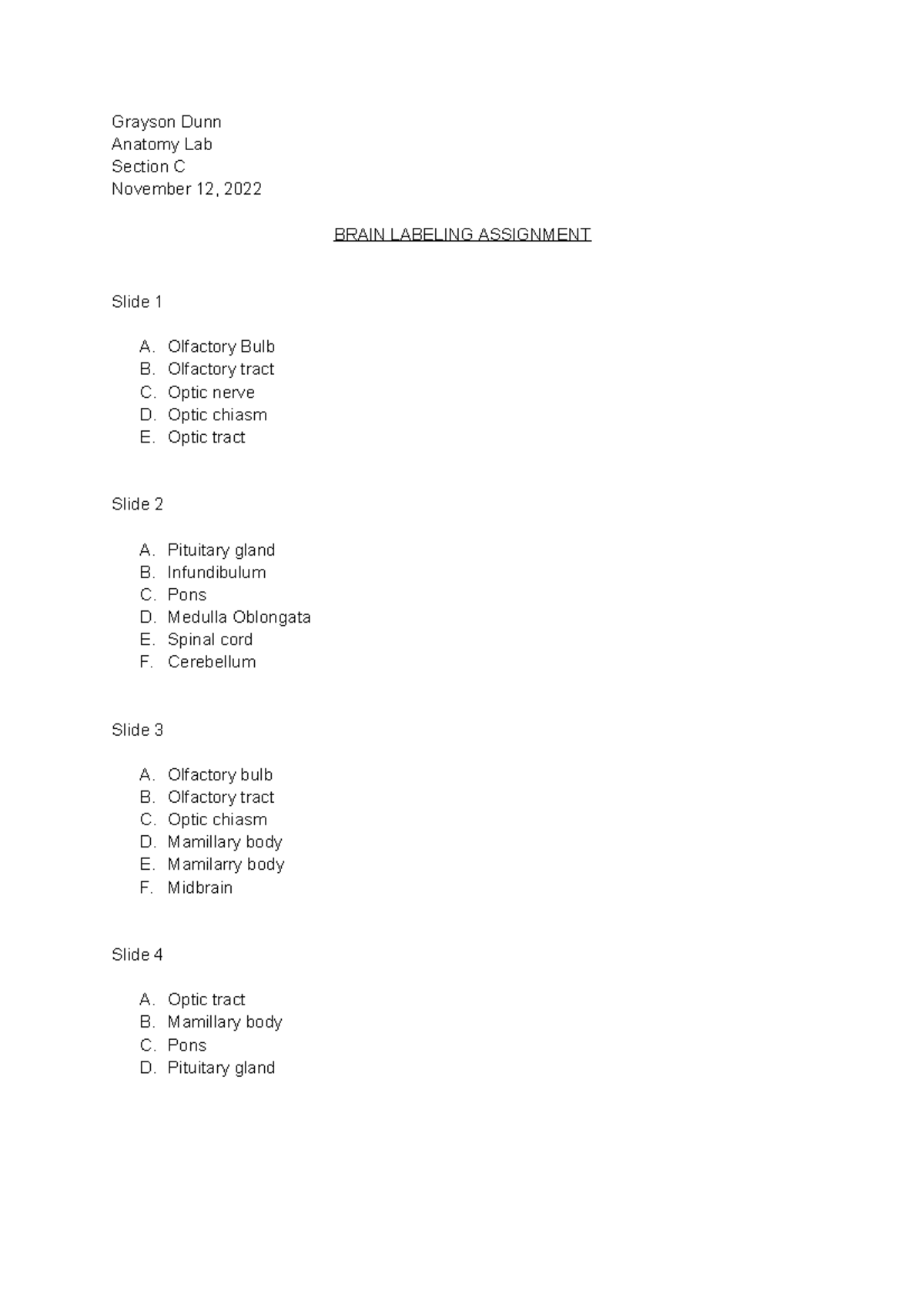 Anatomy Lab- Brain Labeling Assignment - Grayson Dunn Anatomy Lab ...