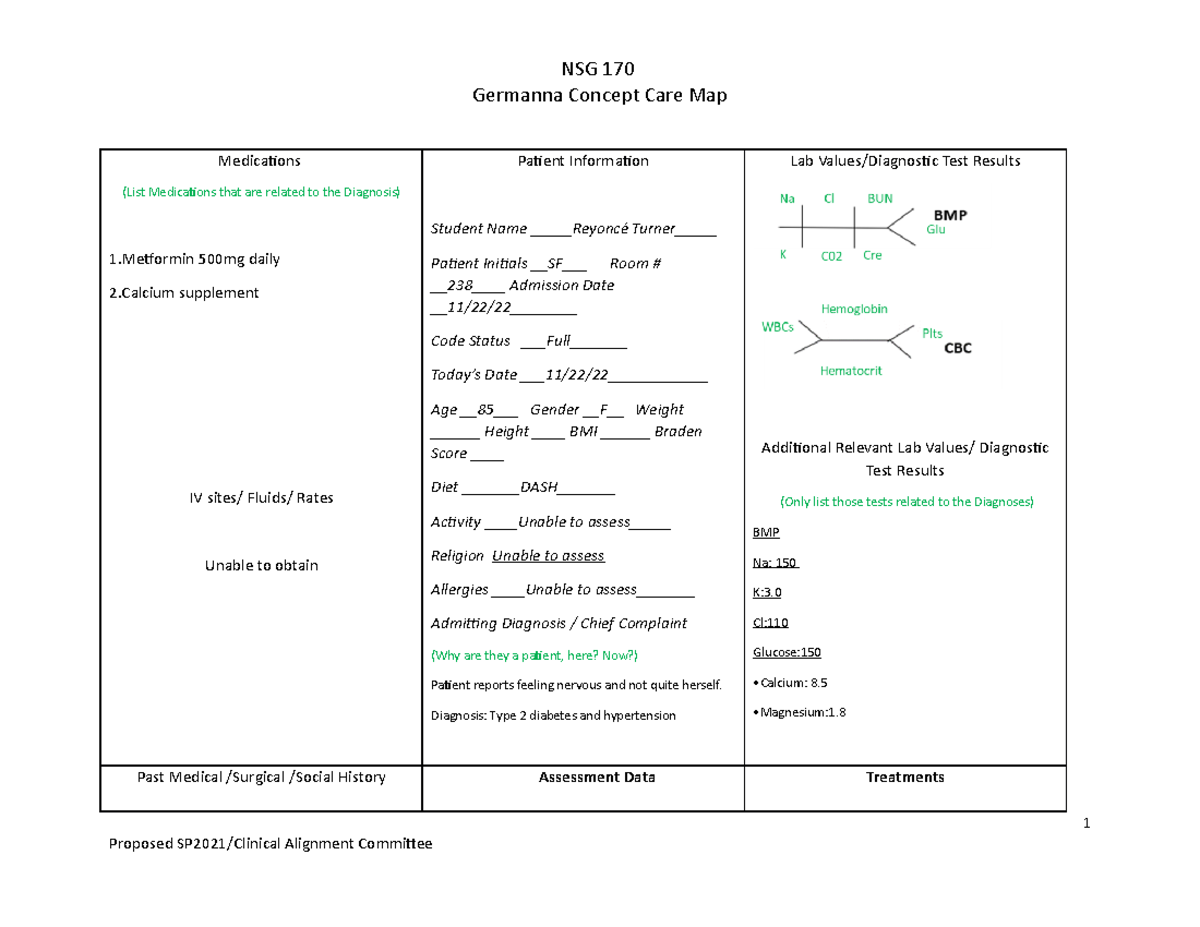 Copy of NSG 170 Concept Care Map Sp22 - Germanna Concept Care Map ...