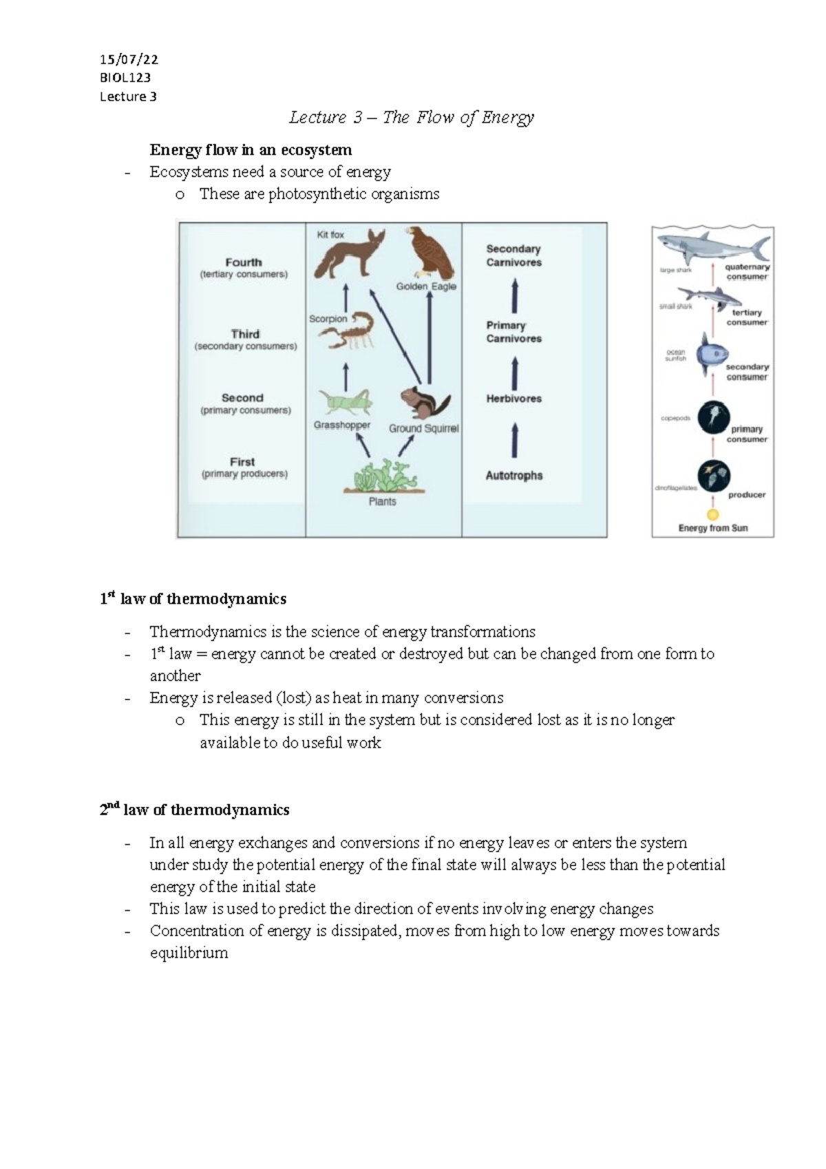 Lecture 3 - BIOL Lecture 3 Lecture 3 – The Flow of Energy Energy flow ...