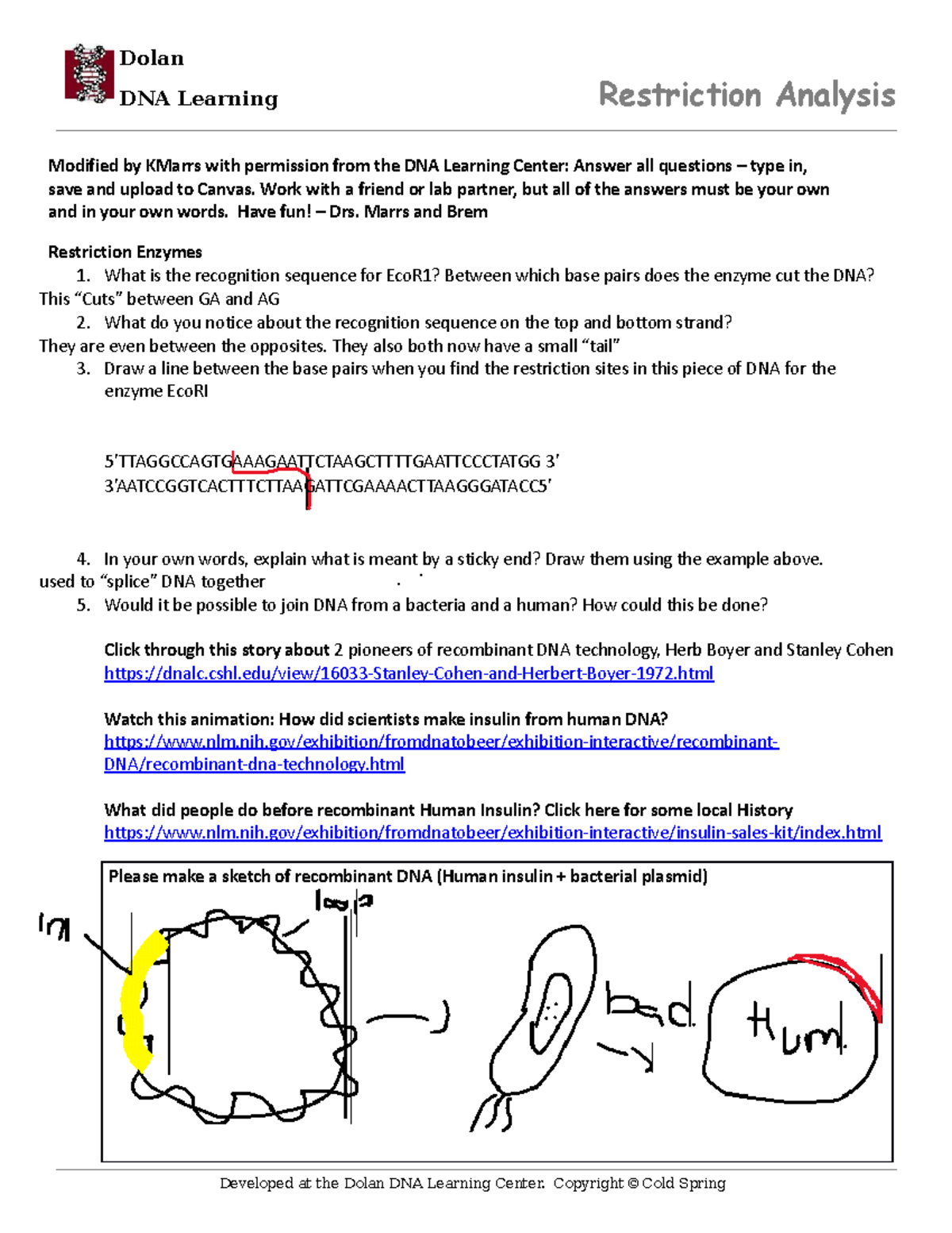 Lab 10 Restriction Enzyme and Electrophoresis Assignment KM Modified - Modified by KMarrs with ...
