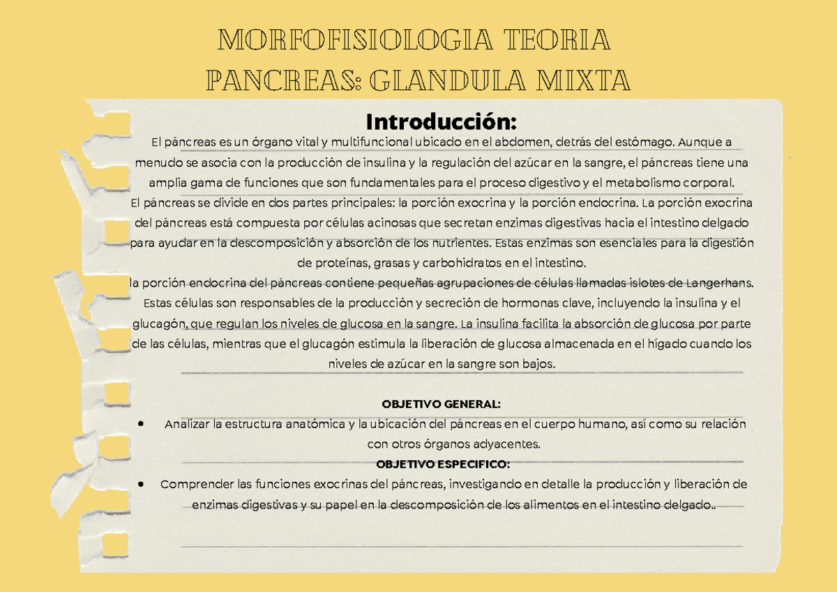 Segunda Parte teoria - morfofisiologia teoria PANCREAS: GLANDULA MIXTA ...