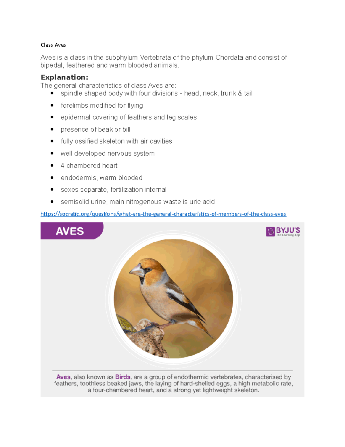 Class Aves Intro & General Char - Class Aves Aves is a class in the ...