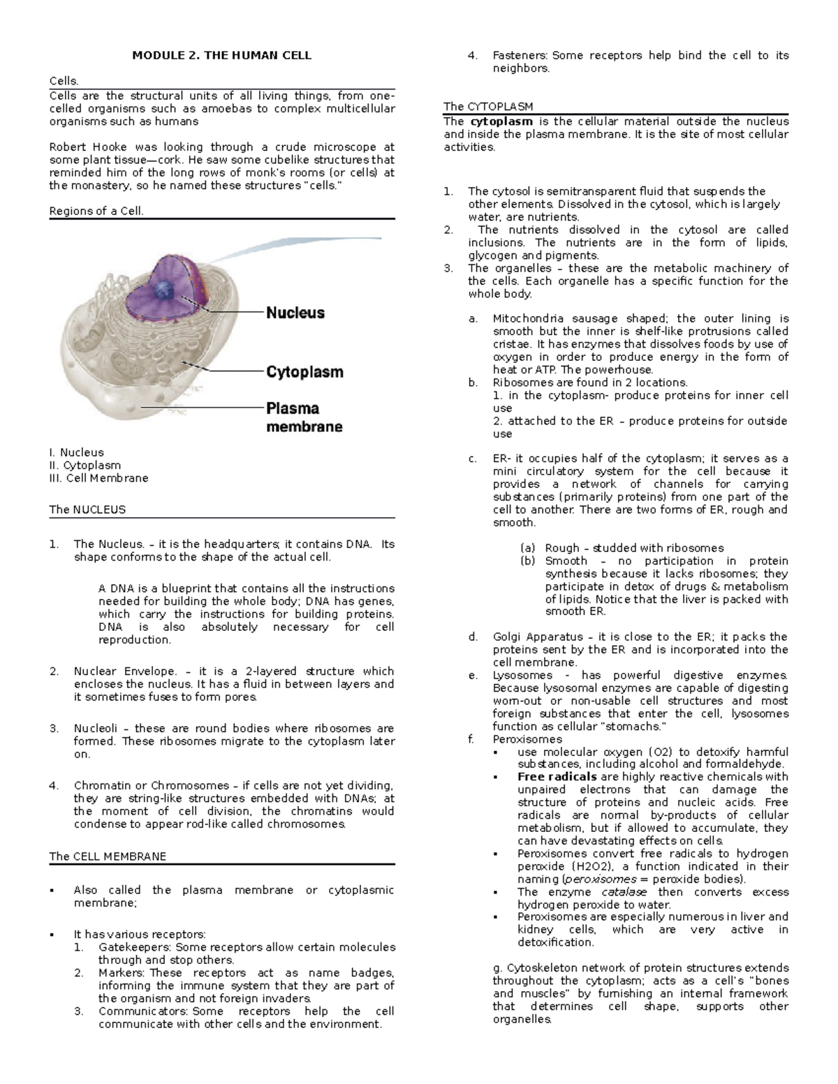 Module-2 Cells-Tissues - MODULE 2. THE HUMAN CELL Cells. Cells are the ...