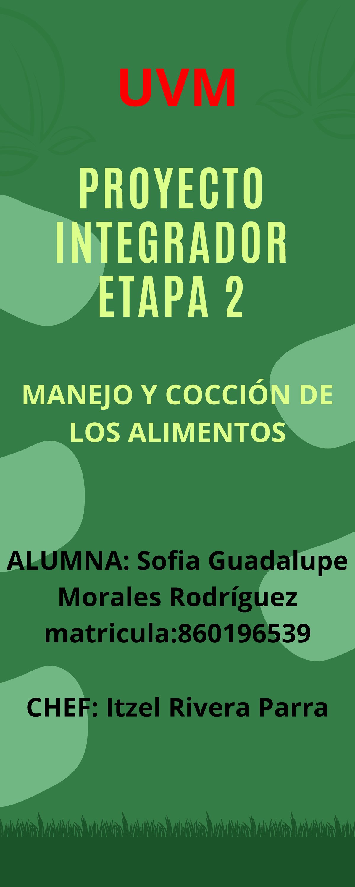 A#5 SGMR - proyecto integrador etapa 2 - PROYECTO INTEGRADOR ETAPA 2 UVM MANEJO Y COCCIÓN DE LOS ...