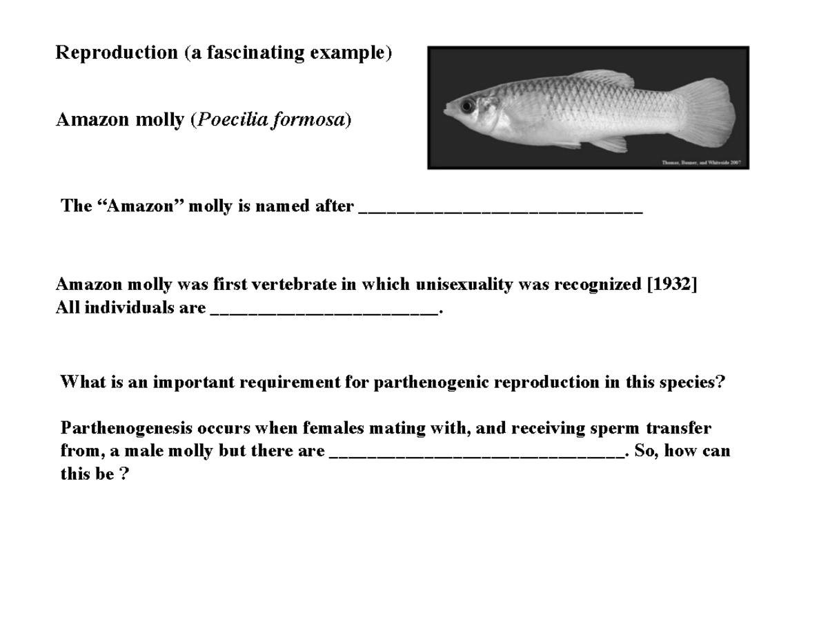 Module 2 (part B) - revised - Amazon molly (Poecilia formosa ...