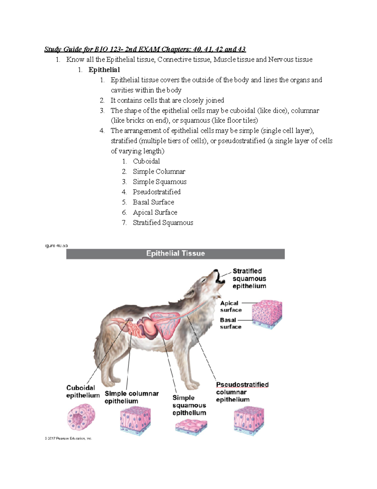 BIO 123 Exam 2 - Lecture notes 1-10 - Study Guide for BIO 123- 2nd EXAM ...