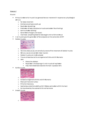 [Solved] what would happen to a cell without the mitochondria - Human Body Systems I (BMSC 207 ...