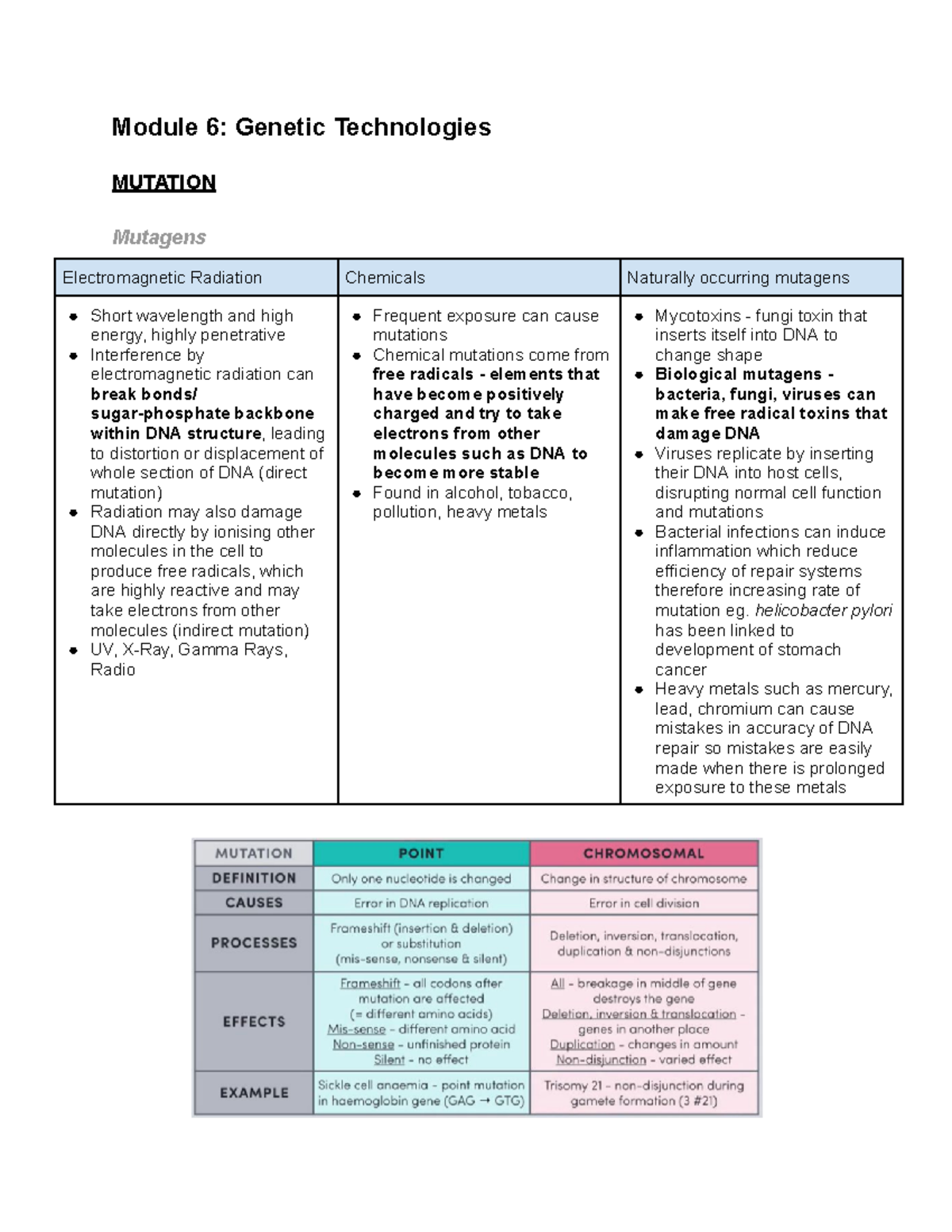 Bio Module 6 Notes - Module 6: Genetic Technologies MUTATION Mutagens ...