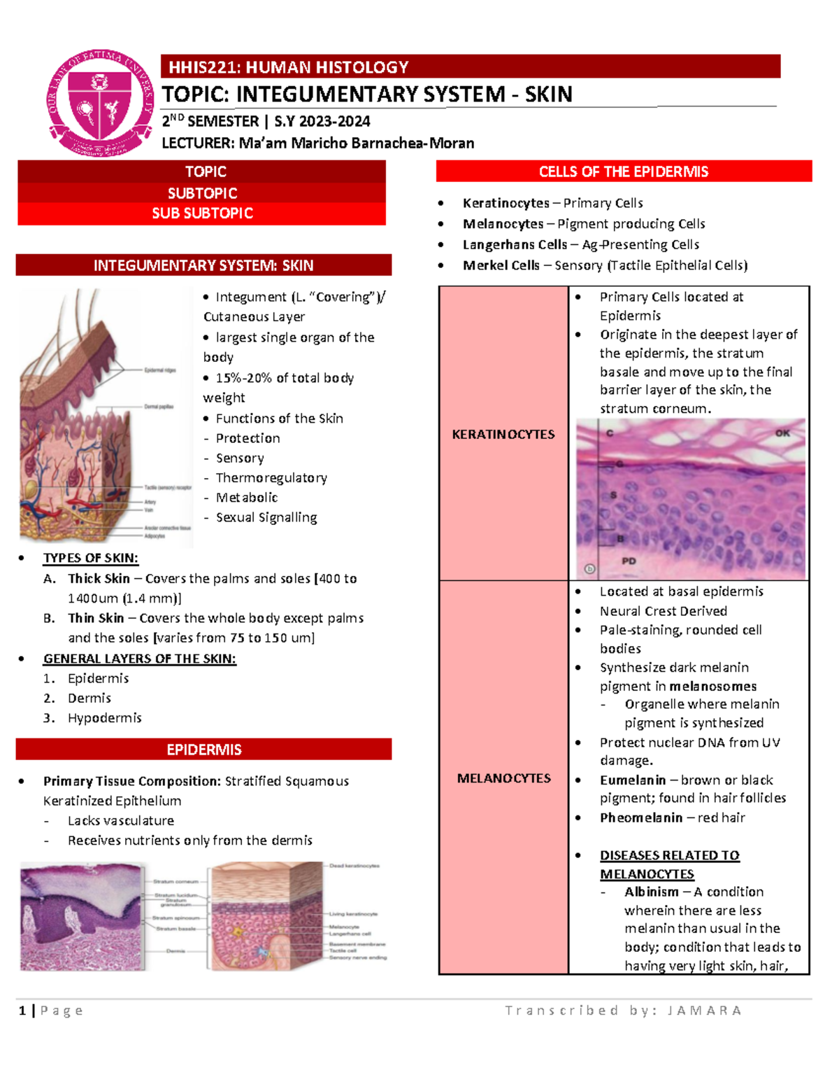 2 - Integumentary System [SKIN] - TOPIC SUBTOPIC SUB SUBTOPIC ...
