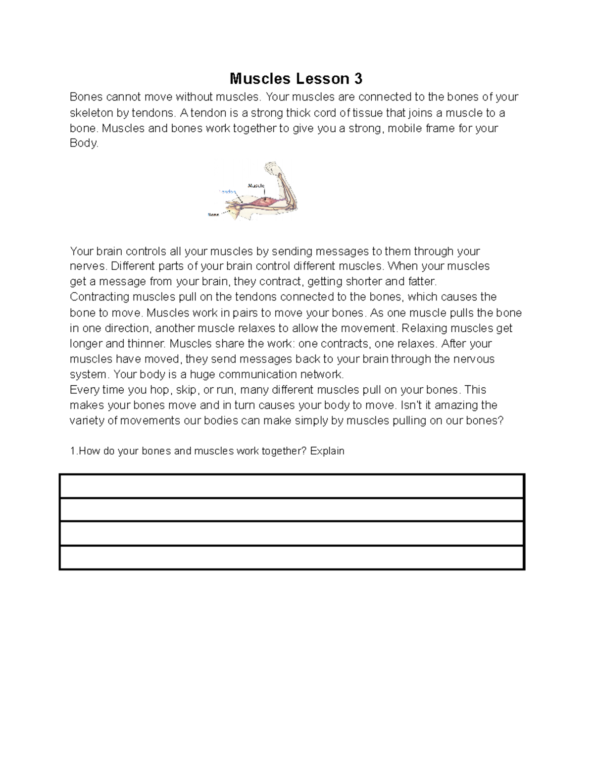Muscles Lesson 3 - Your muscles are connected to the bones of your ...