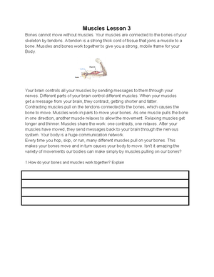 Muscles Lesson 1 - Intro into science - Muscles Lesson 1 Think about ...