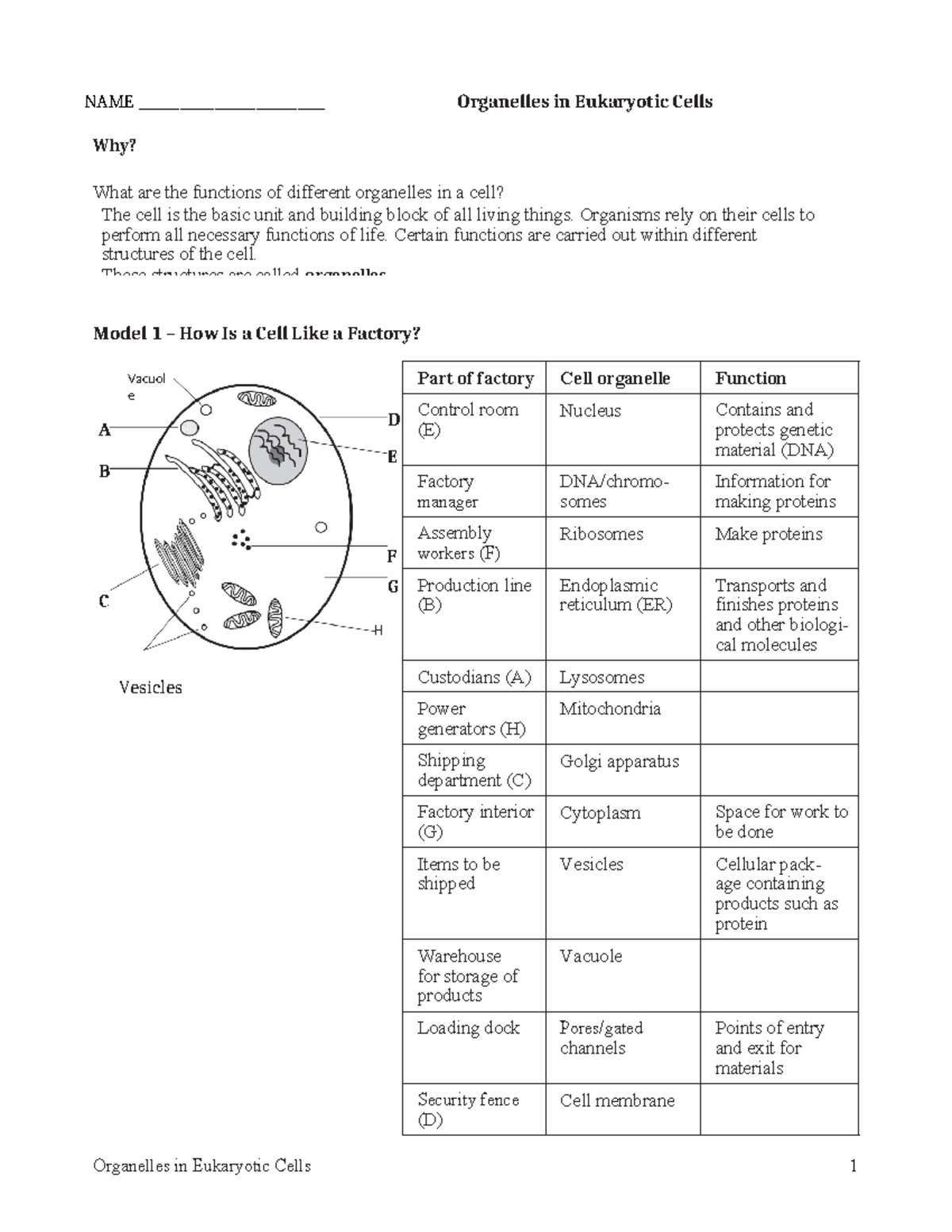 8 Organelles in Eukaryote Cells-S - Vacuol e H Organelles in Eukaryotic ...