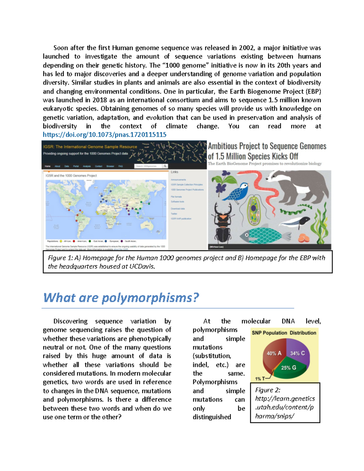 2-2 DNA polymorphisms - Professor Agnes Southgate - Soon after the ...