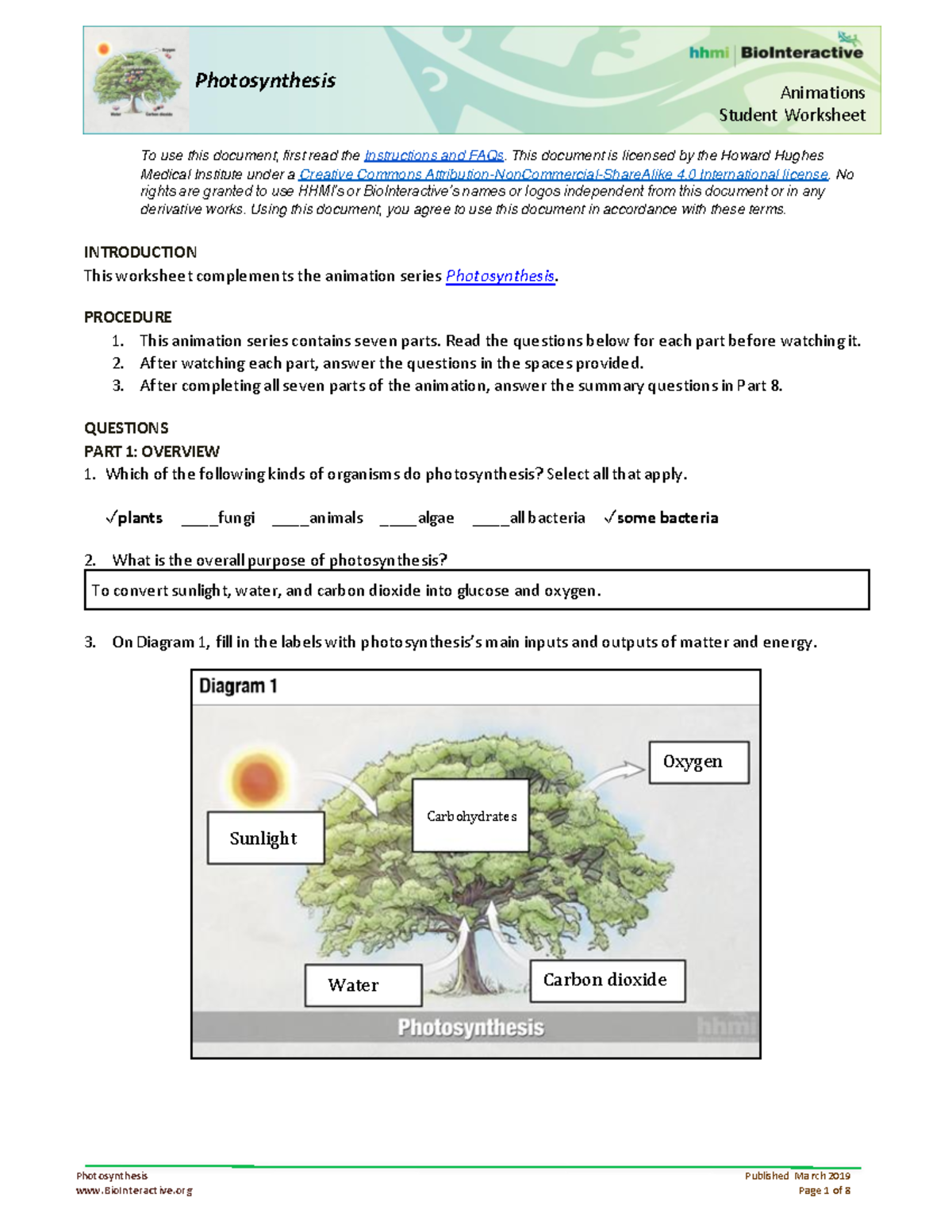 Photosynthesis interactive student WS - Photosynthesis Published March ...
