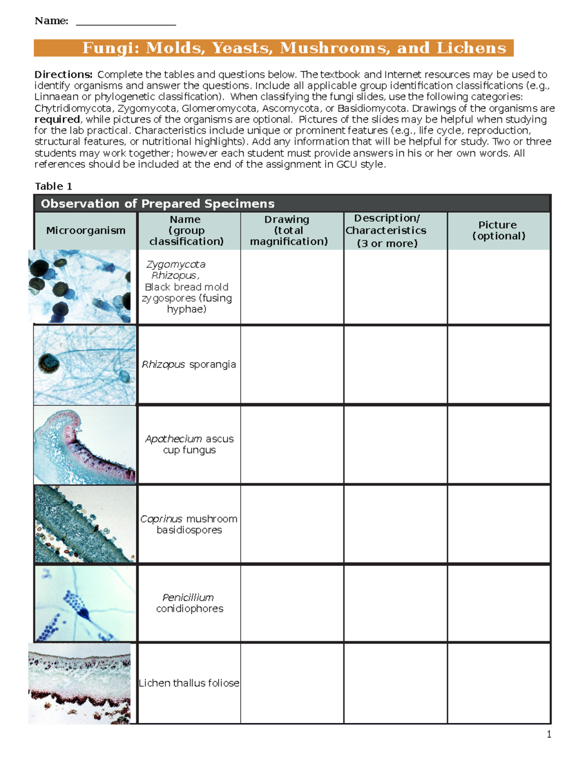 Fungi Worksheet - plain lecture notes - Directions: Complete the tables ...
