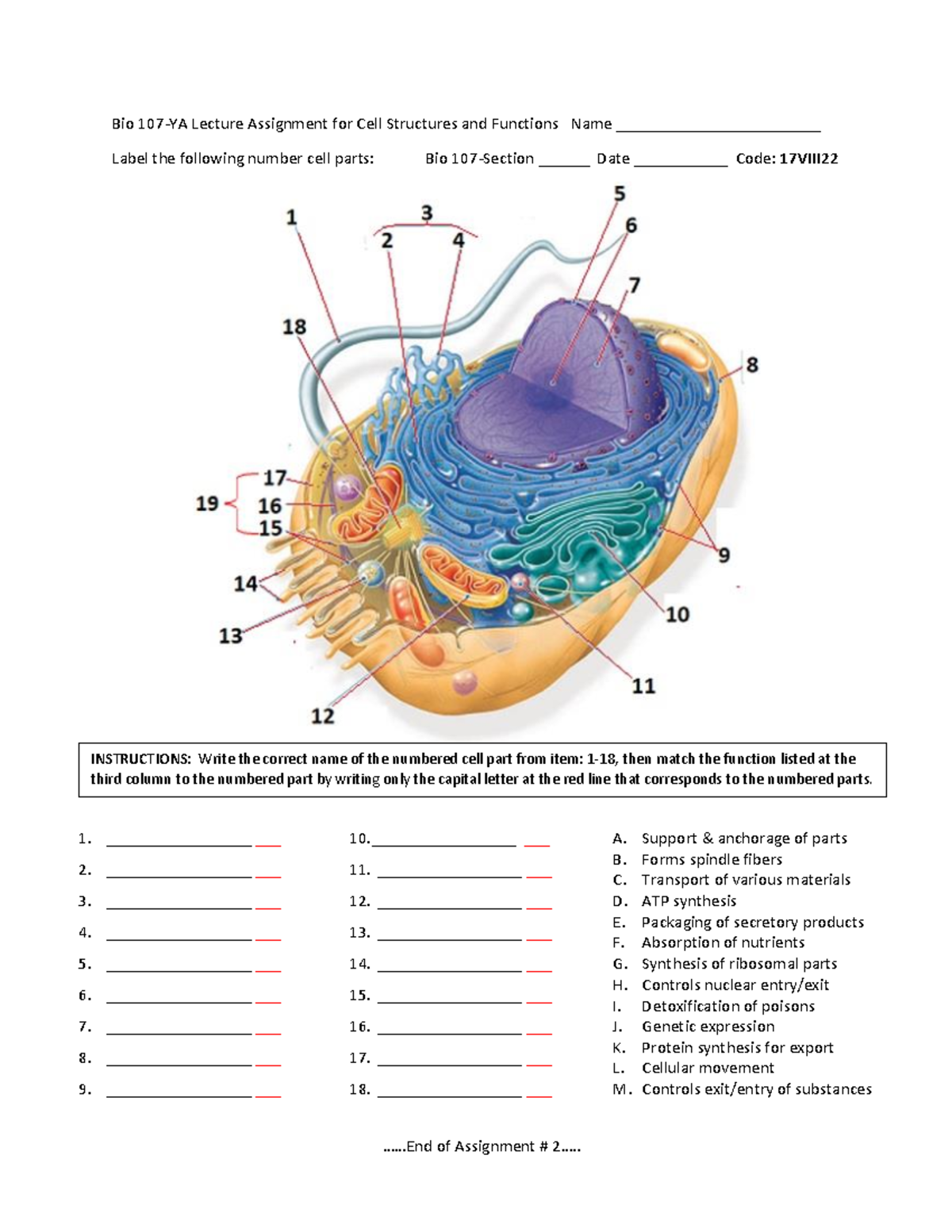 Bio 107ya-assignment #2-Cell structures and functions-2022-2023 - Bio ...