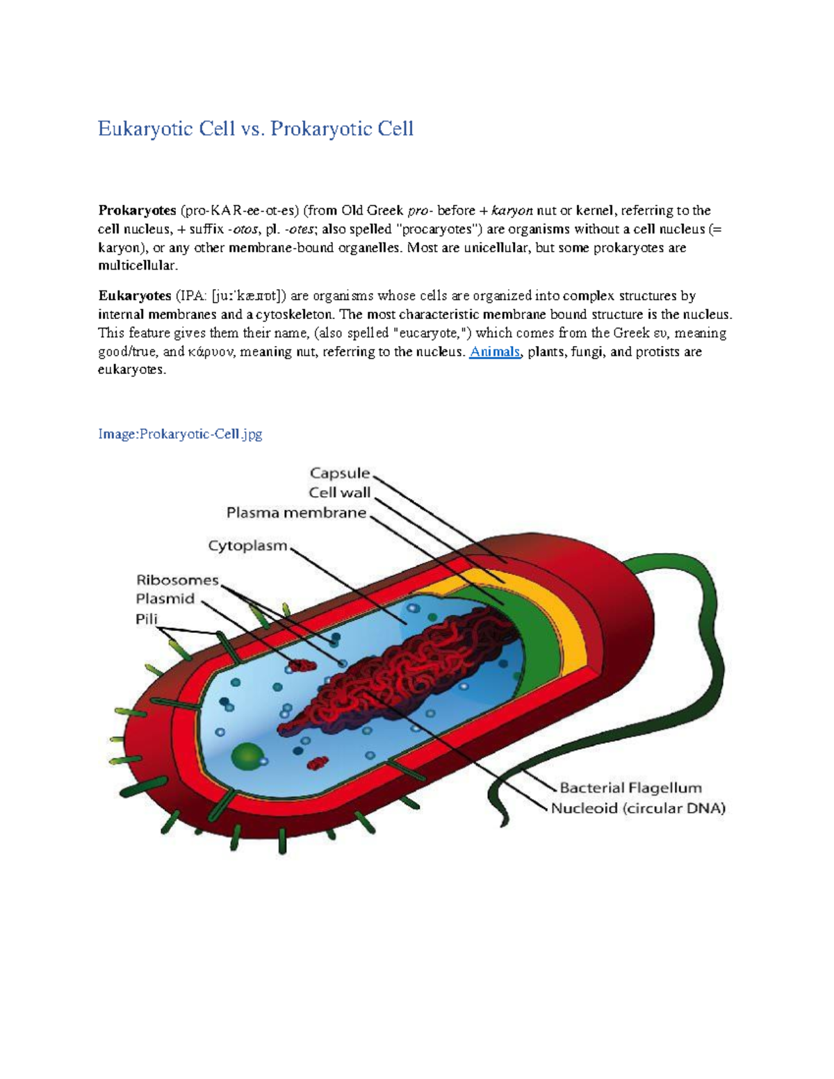 Eukaryotic Cell vs. Prokaryotic Cell - Eukaryotic Cell vs. Prokaryotic ...