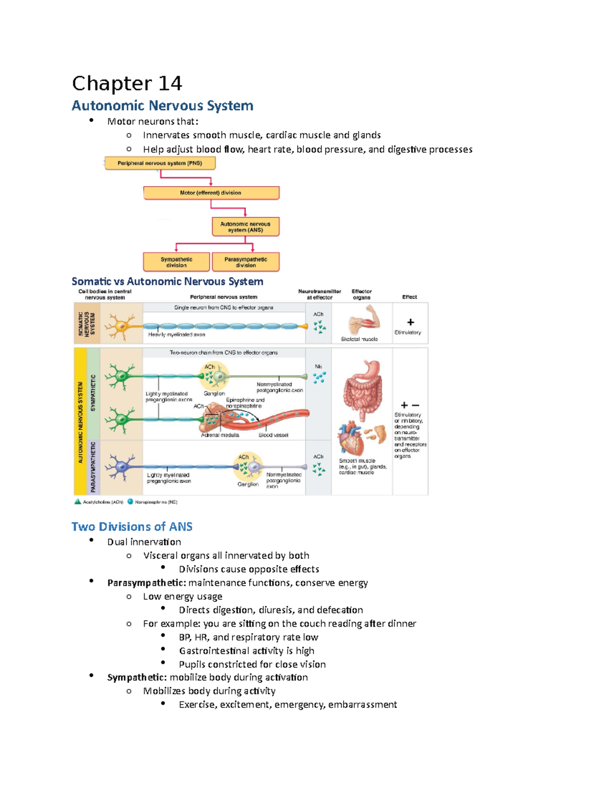 Chapter 14 Bio 208 - Autonomic nervous system - Chapter 14 Autonomic ...