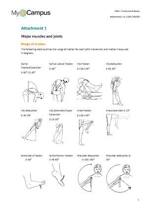 FA05-Attachment 4 Exercise considerations - FA05 – Functional Anatomy ...