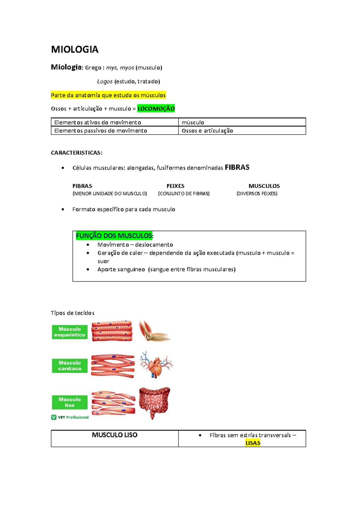 Miologia - MIOLOGIA Miologia: Grego : mys, myos (musculo) Logos (estudo ...