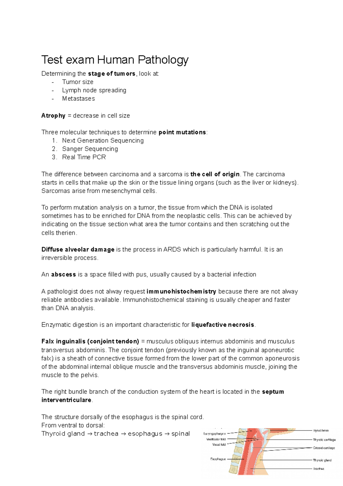 Test exam Human Pathology - Test exam Human Pathology Determining the ...
