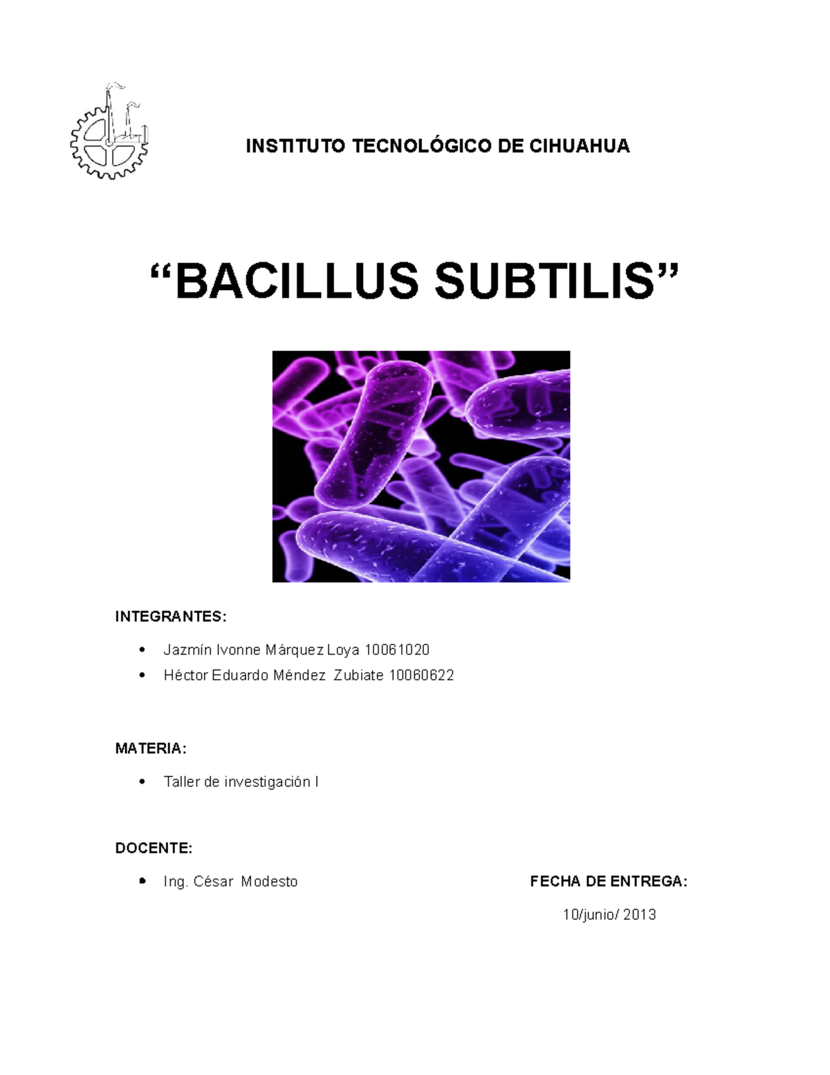 Taller de investigacion 1 Bacillus Subtilis - INSTITUTO TECNOLÓGICO DE ...