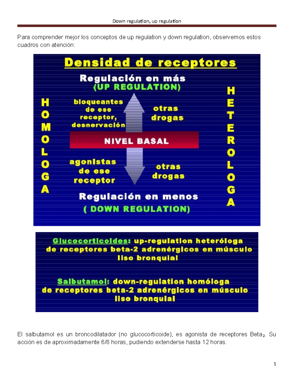 Up regulation y down regulation - Su acción es de aproximadamente 6/8 ...