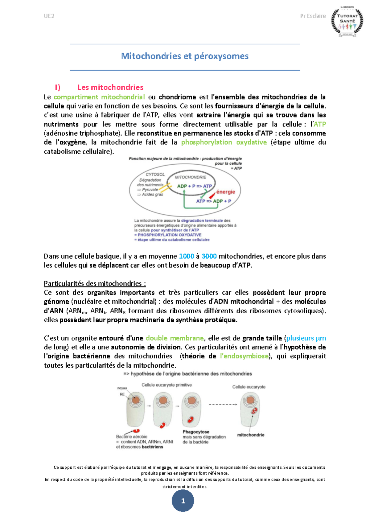 Dr. Esclaire - Mitochondries et p Ã©roxysomes - Ce support est élaboré ...