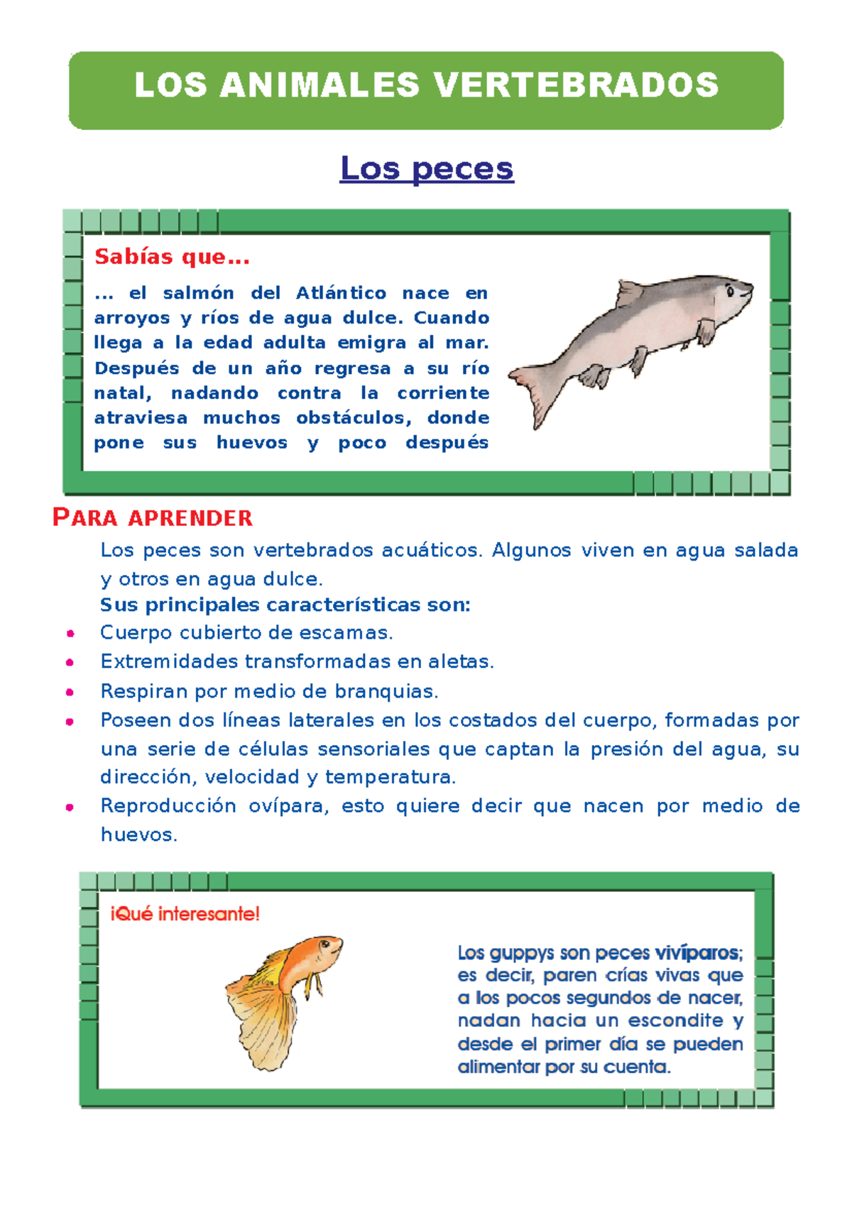 Los animales vertebrados - Los peces PARA APRENDER Los peces son ...