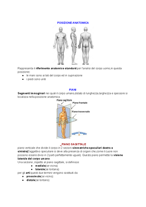 Lezione 8 OSSA - descrizione delle ossa - INTRODUZIONE Si definiscono ...