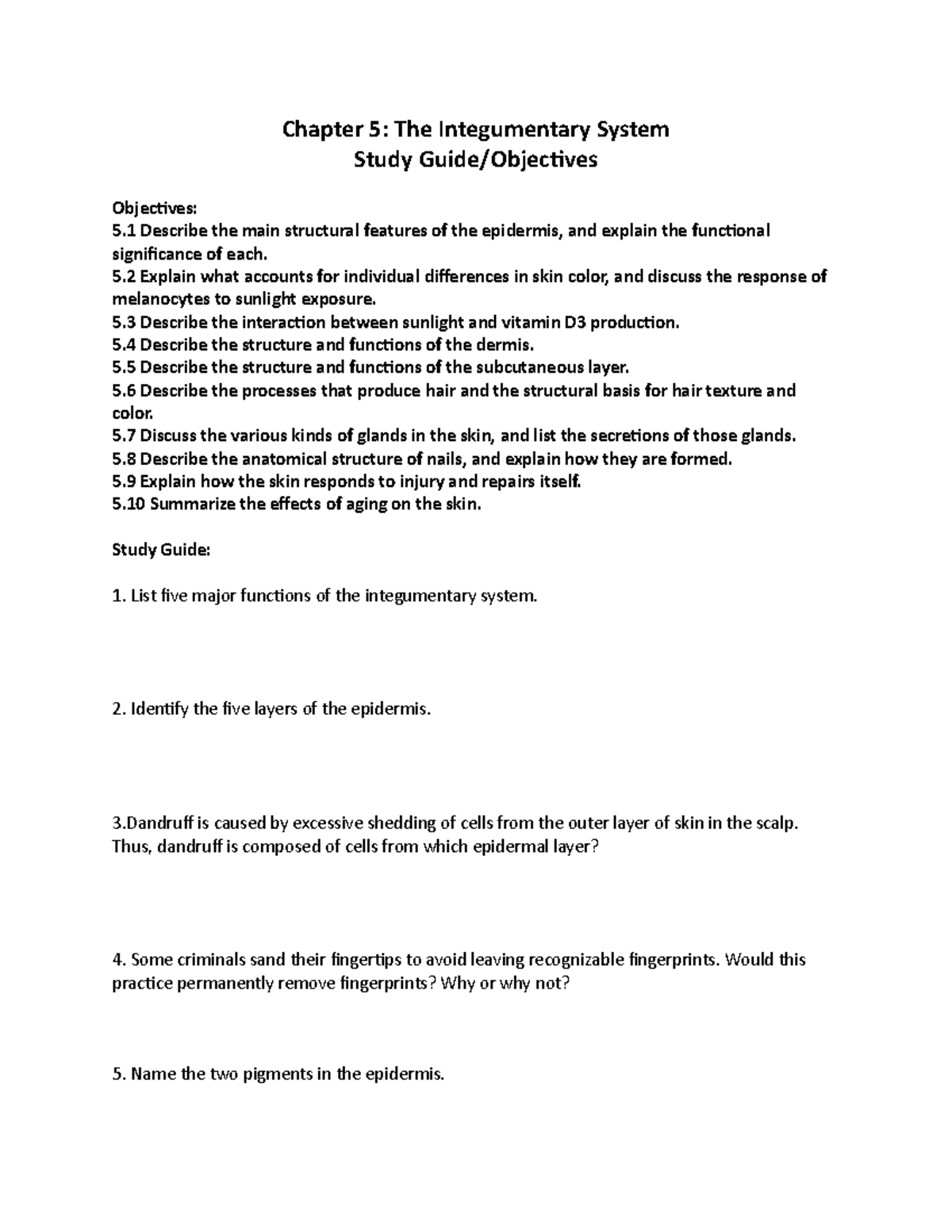 Chapter 5 Integumentary System - Chapter 5: The Integumentary System ...