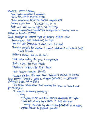 Neurophysiology in Neurons - Studocu