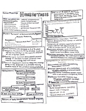 1. Homeostasis - Drawing and notes for the first 3 chapters of the ...