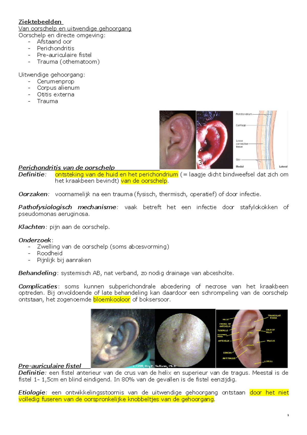 Ziektebeelden E-learning KNO celbiologie - Ziektebeelden Van oorschelp ...