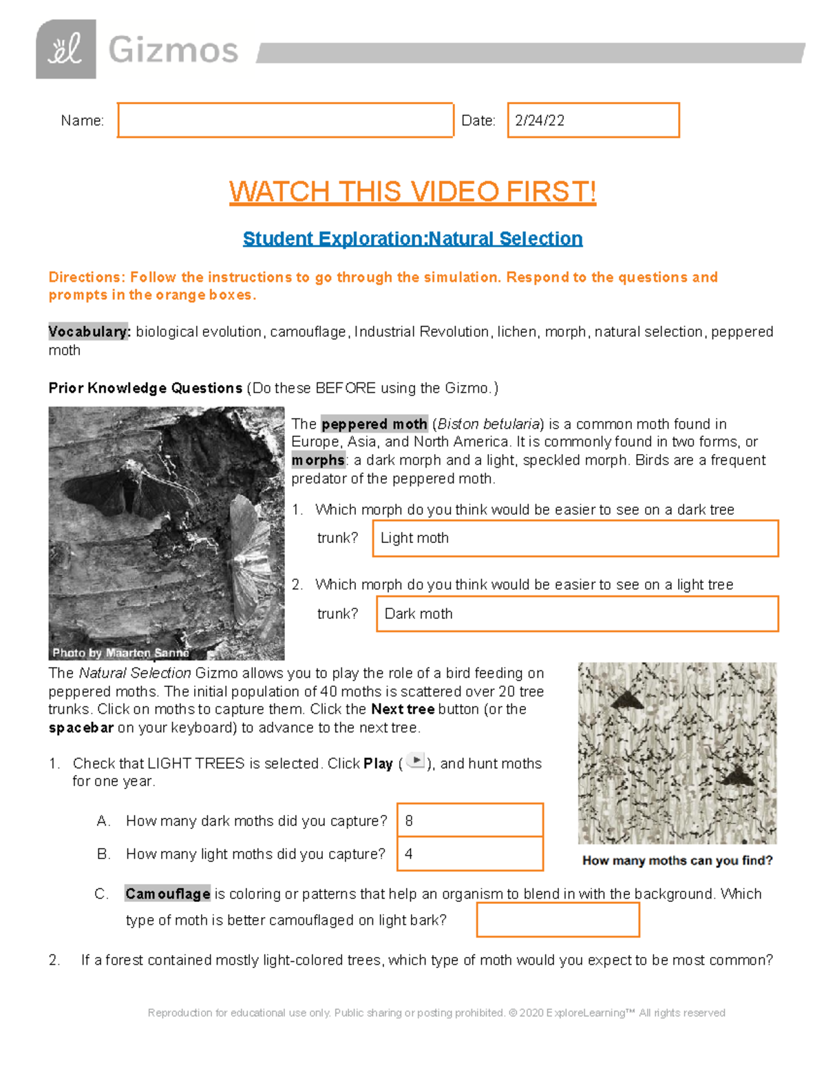 -Gizmo Natural Selection Peppered Moth (Honors) - 10013936 - Name: Date ...