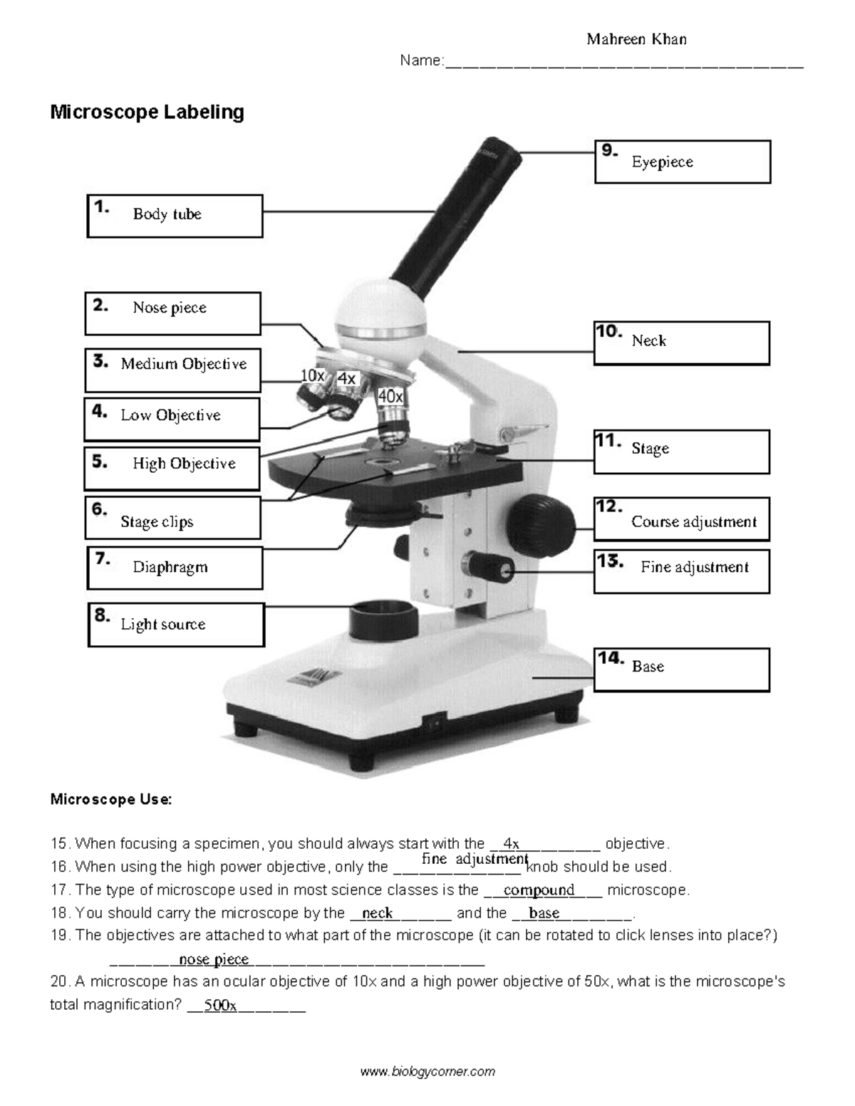 Microscope Labeling - None - Name ...