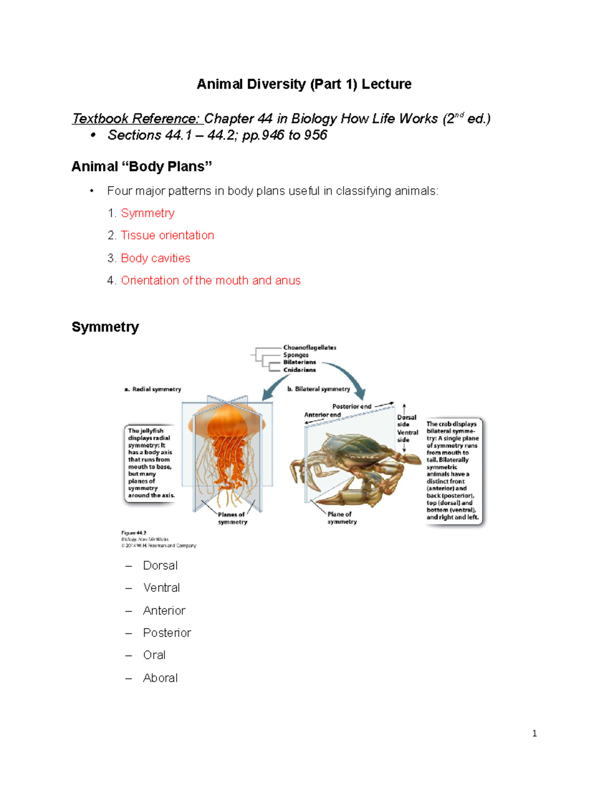 Lecture 8 - Animal Diversity (Part 1) Lecture Textbook Reference ...